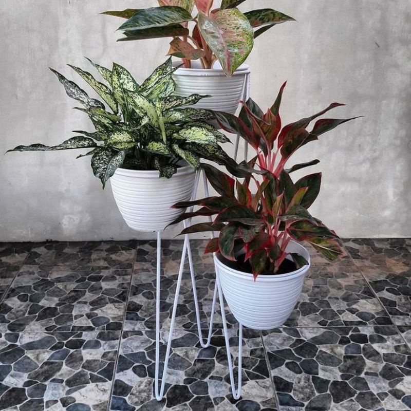 Jual STANDING POT TANGGA 6 DUDUKAN POT T 100 CM / RAK BUNGA SUSUN ...
