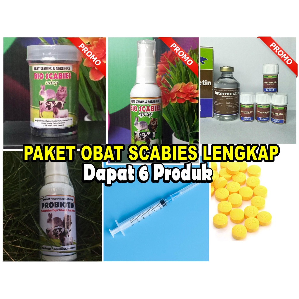 Jual Paket A Obat Scabies Paling Lengkap, Obat Scabies Hewan Terbaik ...