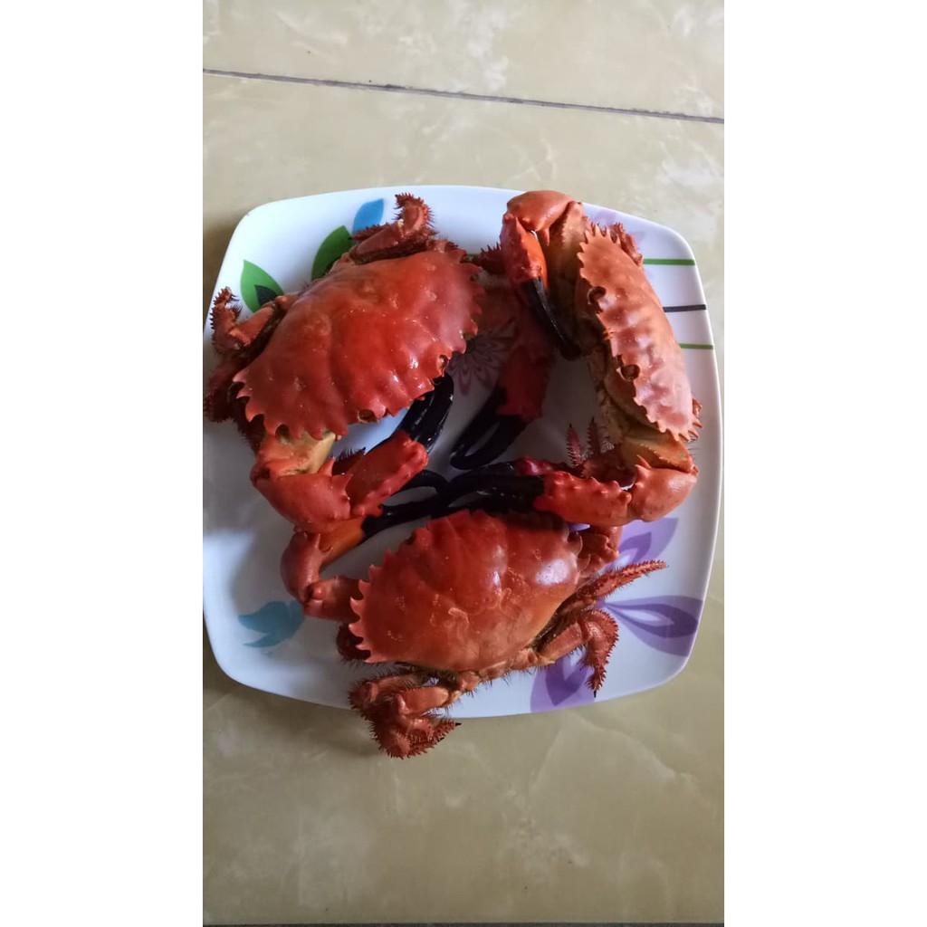 Jual Kepiting rebus siap masak | Shopee Indonesia