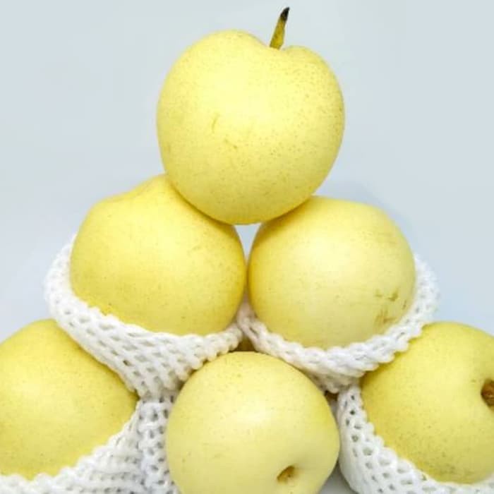 Jual Pear Pir Century - 1Kg isi 4-6 Buah | Shopee Indonesia