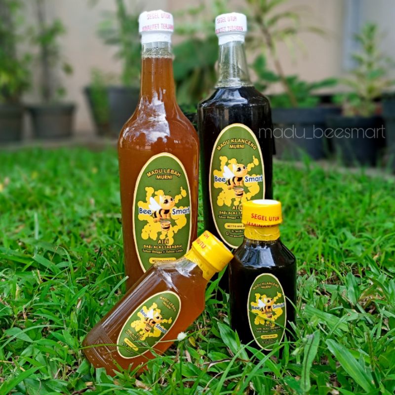 Jual Madu lanceng masam kemasan 650ml | Shopee Indonesia