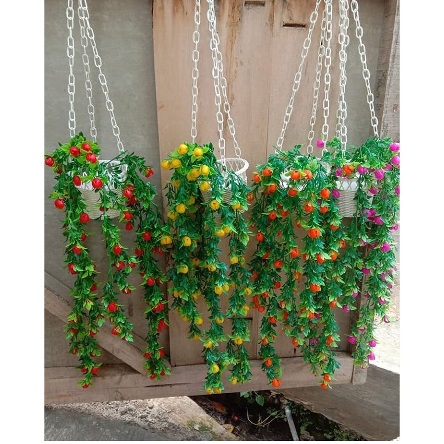 Jual BUNGA PRITI + POT GANTUNG RANTAI (8811)/ daun hias/Bunga Rambat ...