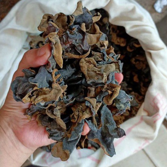 Jual Jamur Kuping Hitam / Jamur Kuping Import / Dried Black Fungus ...