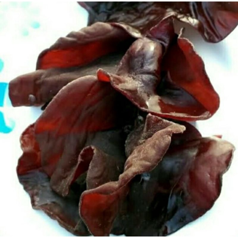 Jual JAMUR KUPING / LEMBER 250 GRAM | Shopee Indonesia