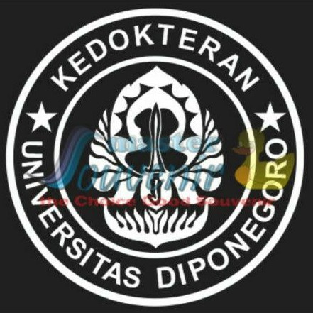 Jual Cutting Sticker Kedokteran Universitas Diponegoro UNDIP | Shopee ...