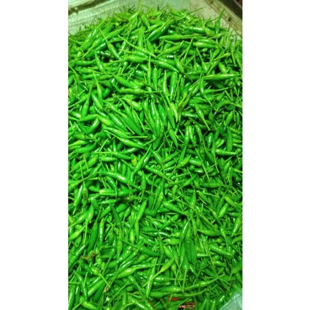 Jual CABAI / CABE RAWIT IJO / KG | Shopee Indonesia