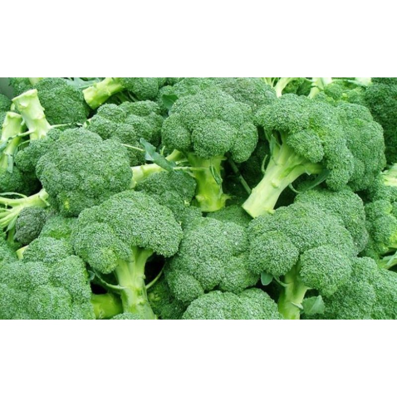 Jual brokoli hijau 500gr | Shopee Indonesia