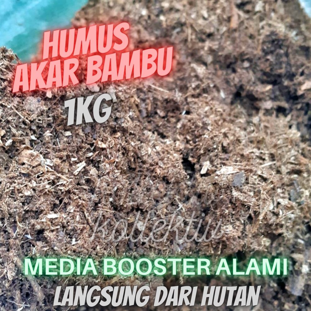 Jual Humus Akar Bambu 1kg Media Tanam SUPER BOOSTER | Shopee Indonesia