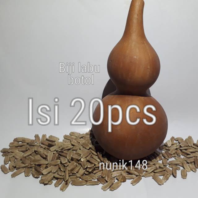 Jual Biji / Benih Labu Botol | Shopee Indonesia