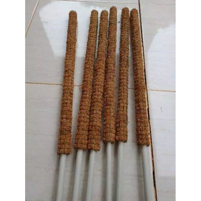 Jual Terus penyada tanaman rambat | Shopee Indonesia