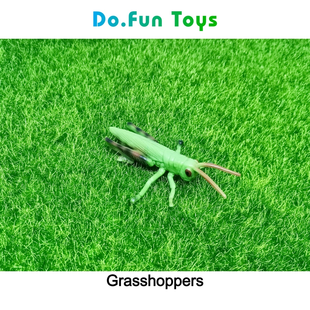 Jual Animal Figurine | INSECTS / Mainan Miniatur Binatang Serangga ...