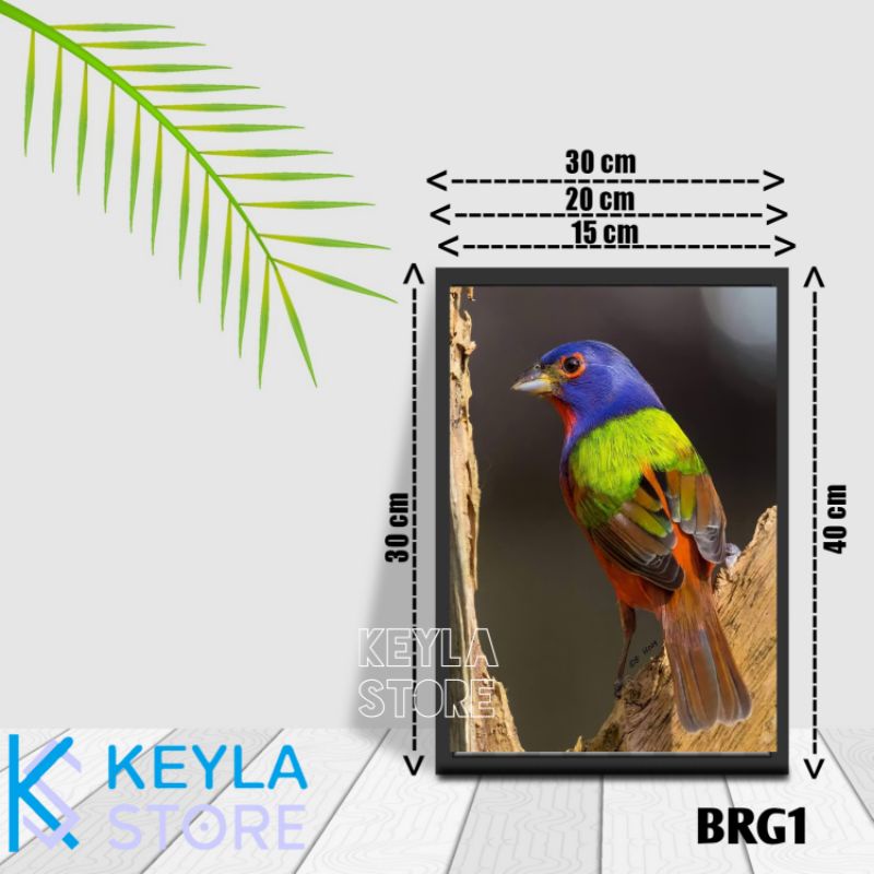 Jual POSTER KAYU HIASAN DINDING FOTO BURUNG LANGKA / INDONESIA / BURUNG ...