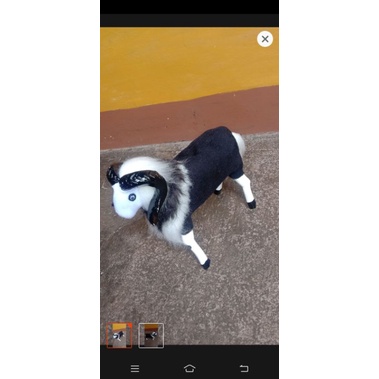 Jual miniatur domba panjang 18cm tinggi 20cm | Shopee Indonesia