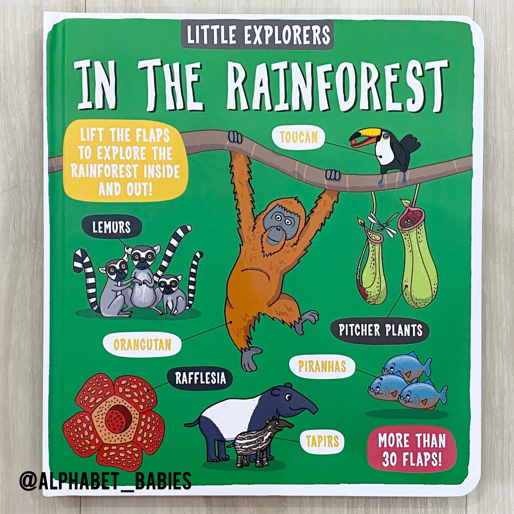 Jual Liitle Explorers: In The Rainforest (More Than 50 Flaps!) | Shopee ...