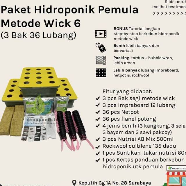 Jual paket hidroponik pemula metode wick 6 | Shopee Indonesia
