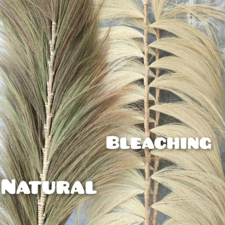 Jual Rayung Stick Daun Kering Dekorasi | Shopee Indonesia