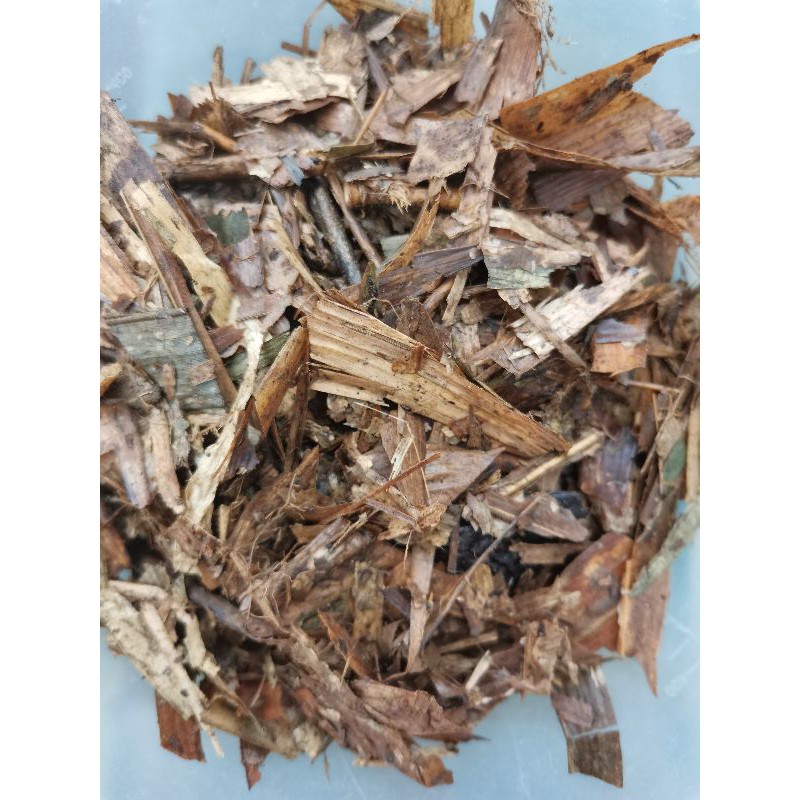 Jual Media Tanam Daun Bambu 1000 gram / Humus Bambu Organik 1kg 1 kg ...