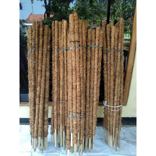 Jual turus tanaman 150 cm Penyangga Tanaman Hias Rambat | Shopee Indonesia