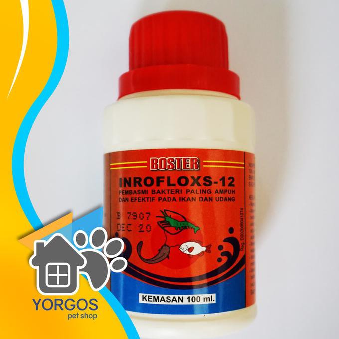 Jual Boster Enro Antibiotik Ikan Inrofloxs 12 Enrofloxacin Cair | Shopee Indonesia