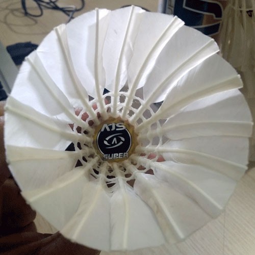 Jual Shuttlecock / kok Bulu tangkis AJS Super | Shopee Indonesia