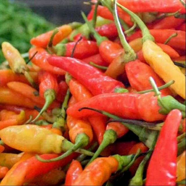 Jual CABAI RAWIT MERAH, CABE RAWIT, CENGEK (FRESH) Harga per 500gr ...