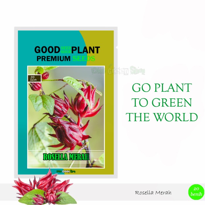 Jual 20 biji - Benih Bibit Bunga Rosella Merah Tea Herbal Premium ...