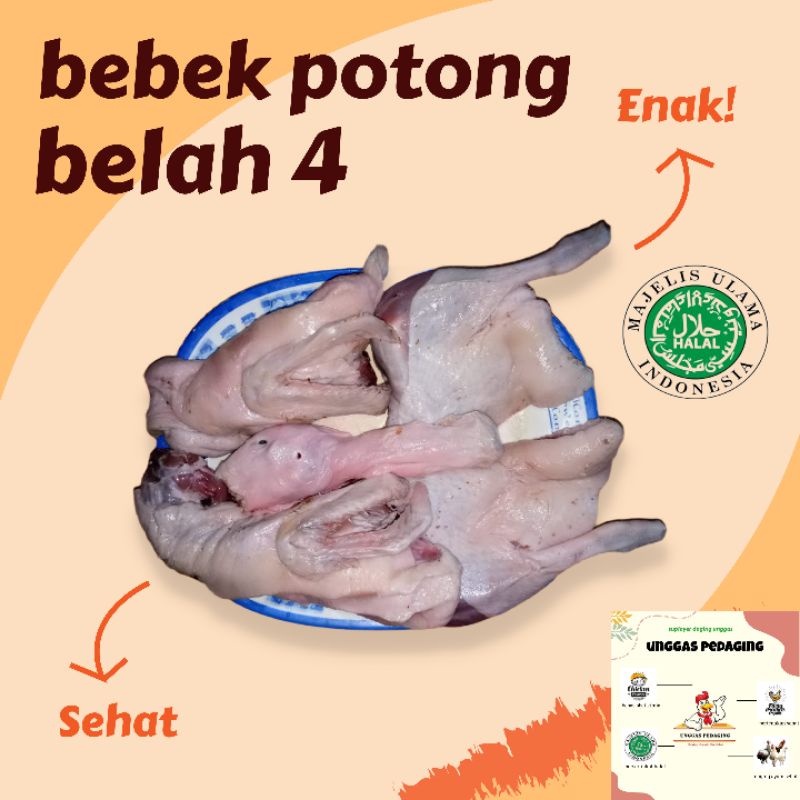 Jual daging bebek 1 kg belah 4 | Shopee Indonesia
