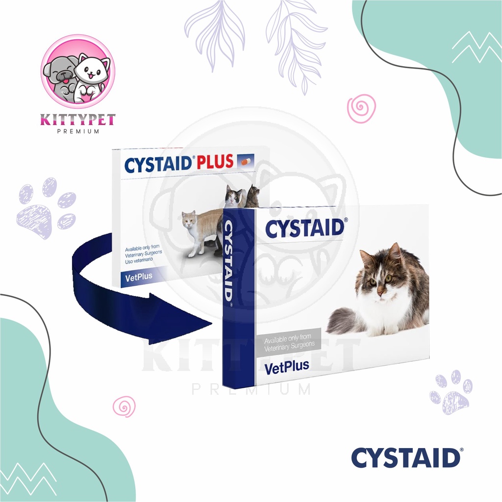 Jual Vetplus Cystaid 30 Capsule (1 Box Kecil), PALING TERMURAH ...