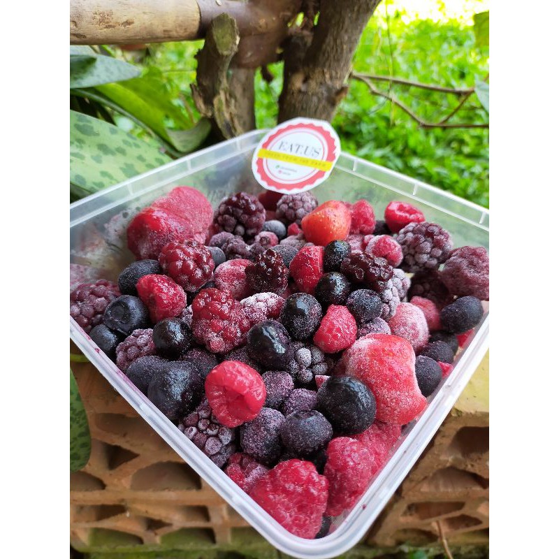 Jual MIXBERRY 4 BERRies BEKU (stroberi blueberry blackberry raspberry ...