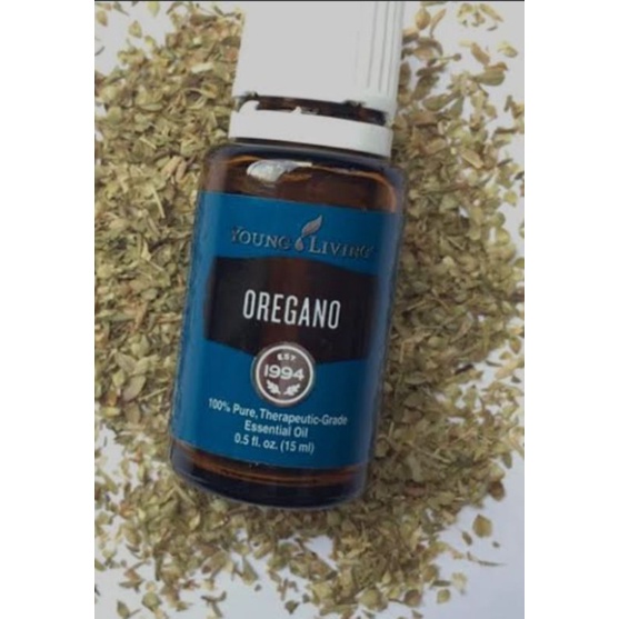 Jual Oregano Young Living Essential Oil 5 ml (FREE 1 Empty Bottle 1ml ...
