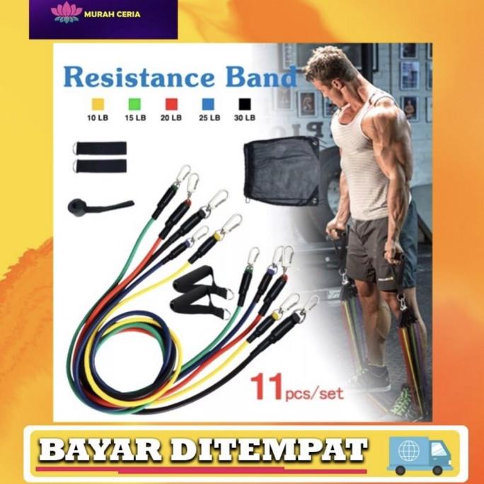 Jual 11 IN 1 PRO RESISTANCE BAND / RESISTANCE TUBE PULL UP GYM YOGA ...