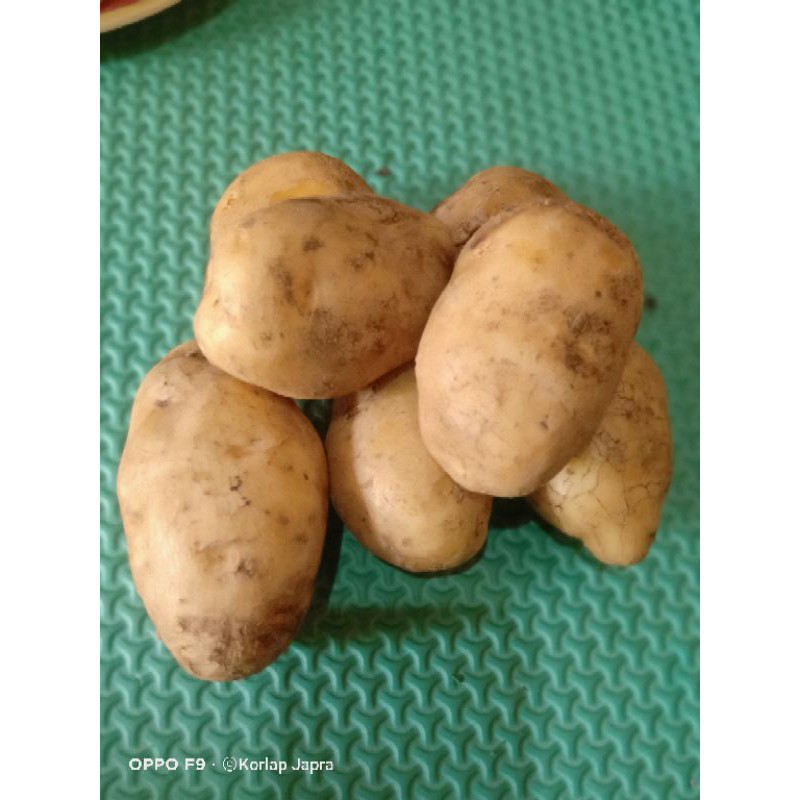 Jual Kentang Dieng Super 1kg | Shopee Indonesia