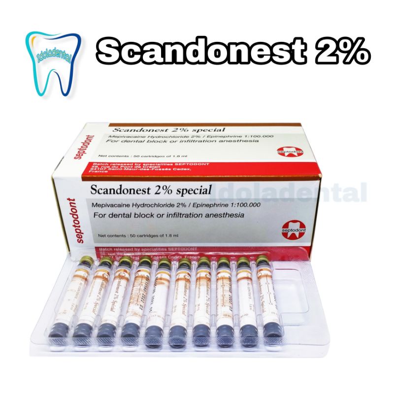 Jual Dental Scandonest 2% Special Ampul Carpule Citoject / Scandinibsa ...