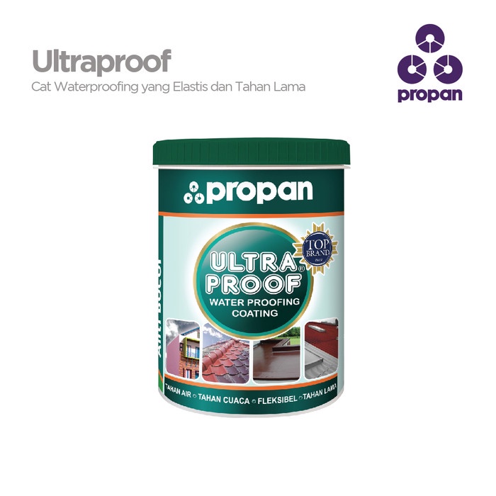 Jual CAT ANTI BOCOR PROPAN ULTRAPROOF 4KG UPR-960 - LIGHT GREY | Shopee ...