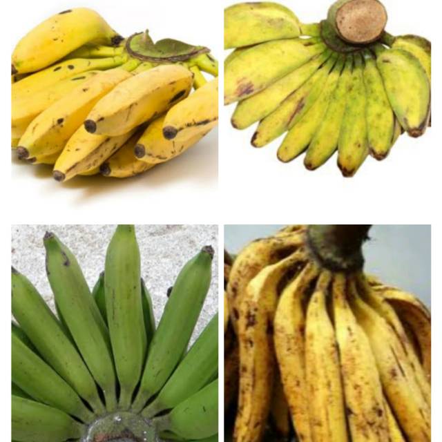 Jual Pisang Terlengkap & Harga Terbaru Mei 2026 | Shopee Indonesia
