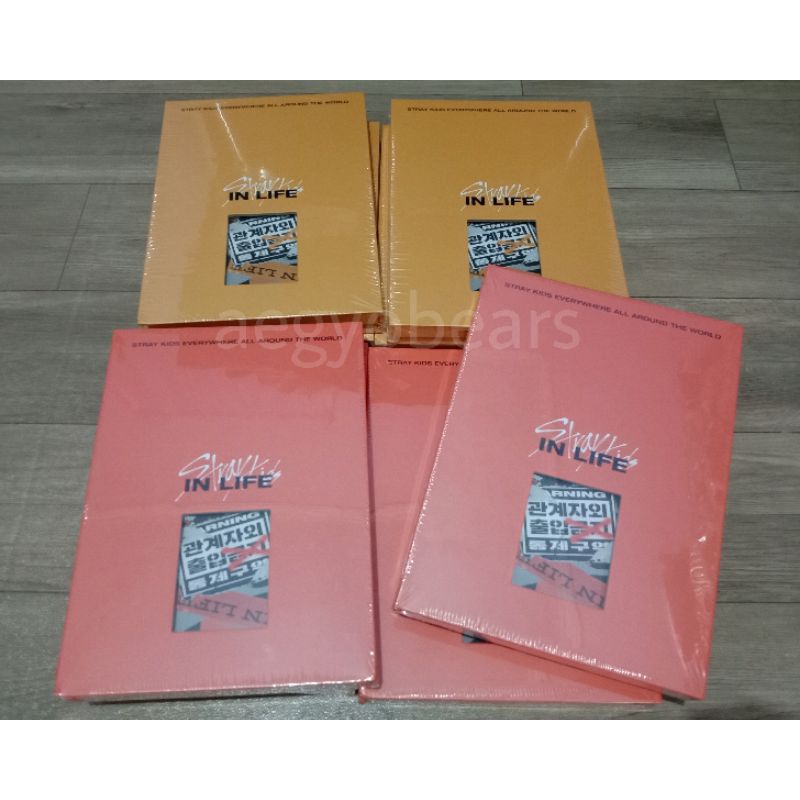 Jual ALBUM SEALED STRAY KIDS SKZ INLIFE IN LIFE | Shopee Indonesia