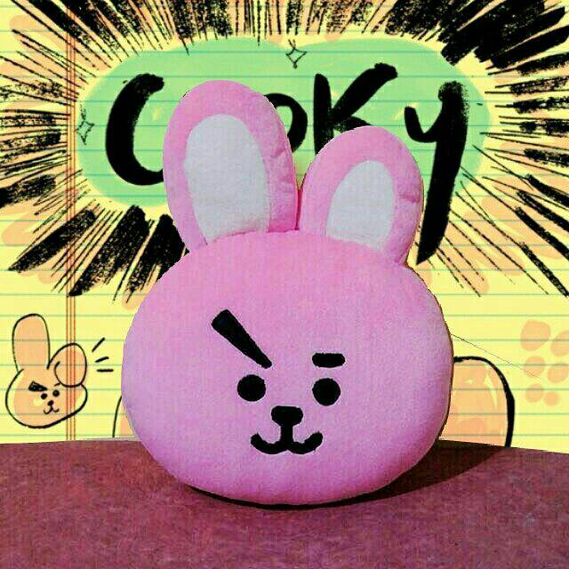 Jual Bantal Boneka Cooky,BT21 Jungkook BTS Character Plush UNOFFICIAL ...