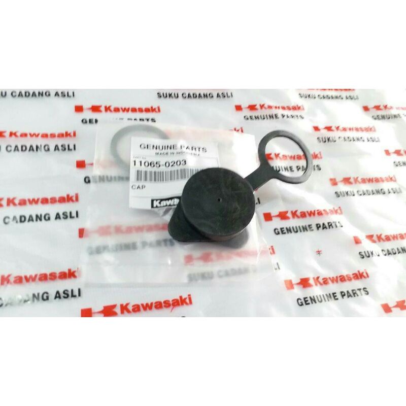 Jual KARET TUTUP TABUNG RADIATOR KAWASAKI NINJA R ORIGINAL | Shopee ...