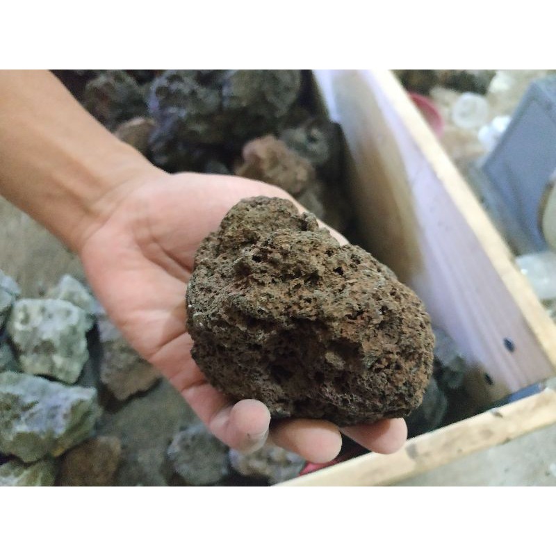 Jual Batu Lava Rock (Merah) | Shopee Indonesia