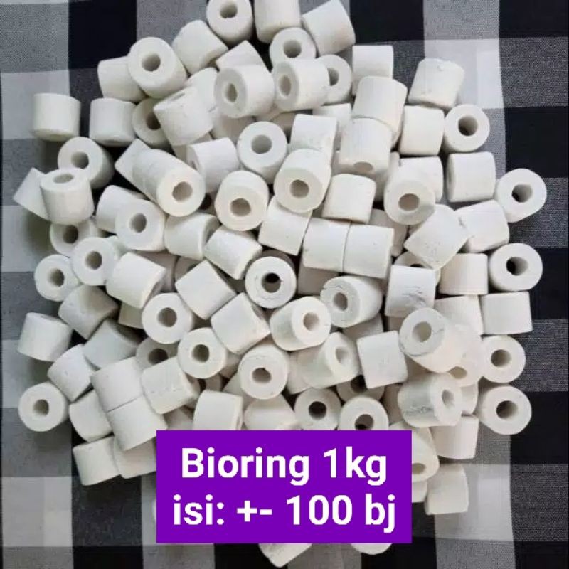 Jual BIORING keramik ring Media Filter Aquarium Kolam Harga per 1 kg ...