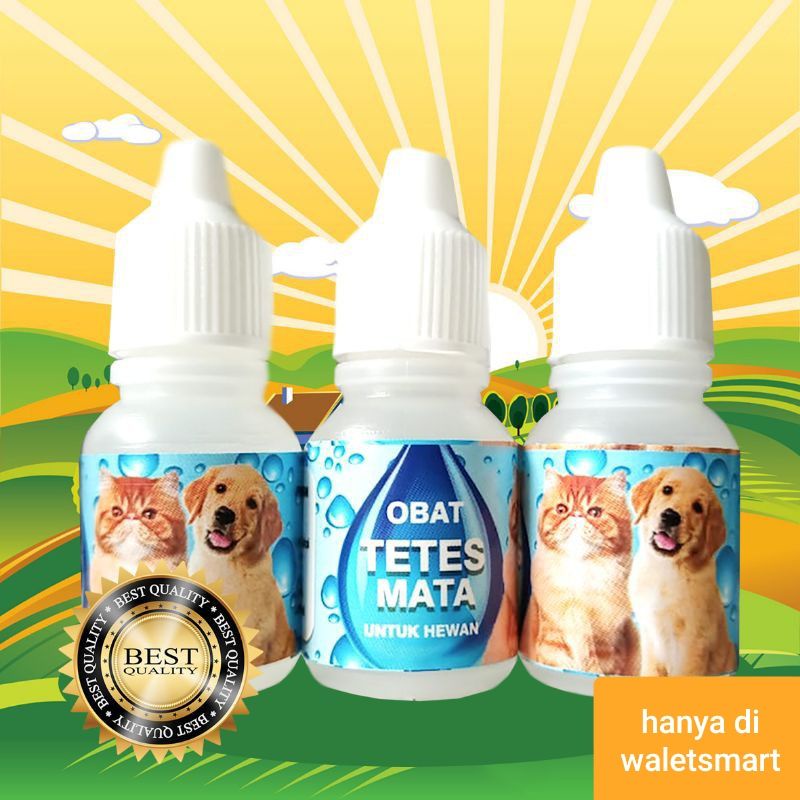Jual Obat Tetes Mata Hewan infeksi iritasi pada Kelinci Kucing Anjing ...