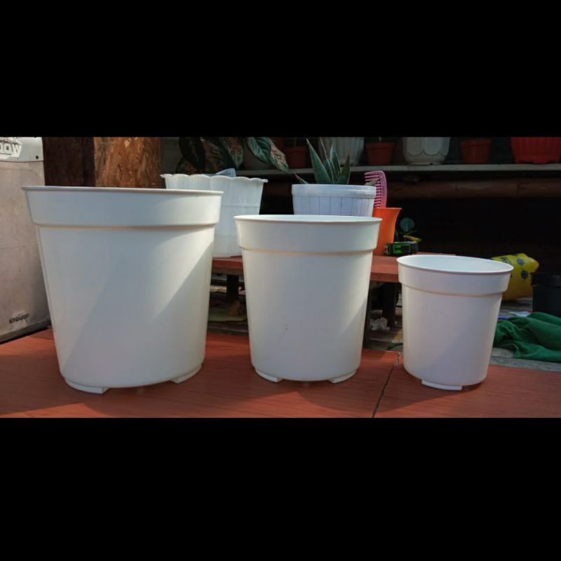 Jual Pot plastik,Pot bunga, Pot sv putih ukuran 25 (1 lusin) | Shopee ...