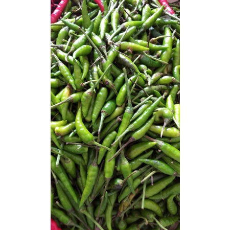 Jual cabe rawit ijo | Shopee Indonesia