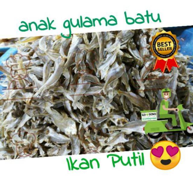Jual Ikan Asin Putil/anak ikan gulama Medan | Shopee Indonesia