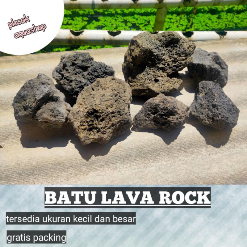 Jual BATU LAVA ROCK BERBAGAI UKURAN | Shopee Indonesia
