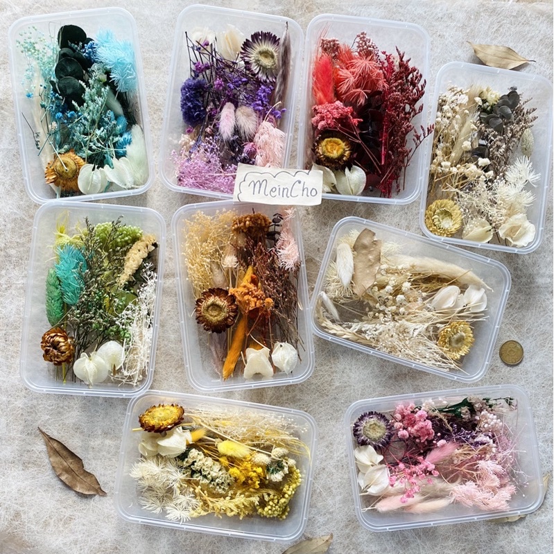 Jual Paket Bunga Kering MIX Import Aneka Kolase Kerang Akuarium ...