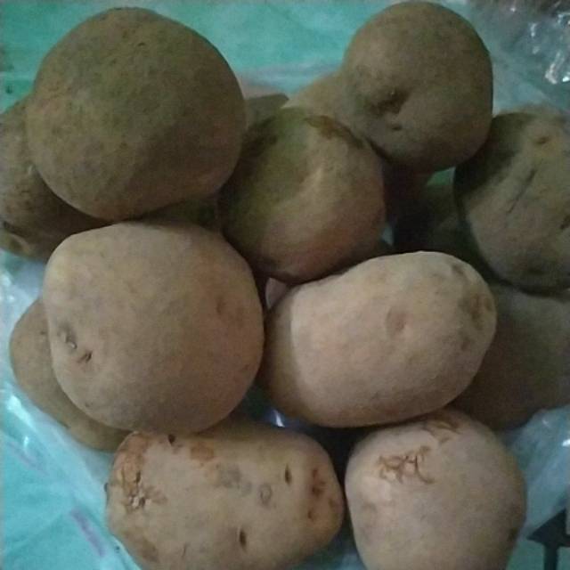 Jual kentang kuning sedang kurleb 500gr (sayuran curah) | Shopee Indonesia