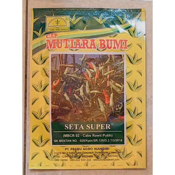 Jual Bibit Cabe Rawit Unggul SETA SUPER | Shopee Indonesia
