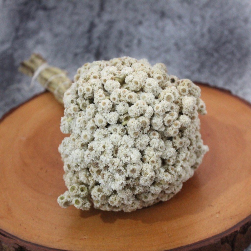 Jual Bunga edelweis Kering bahan bucket 5-15 batang | Shopee Indonesia