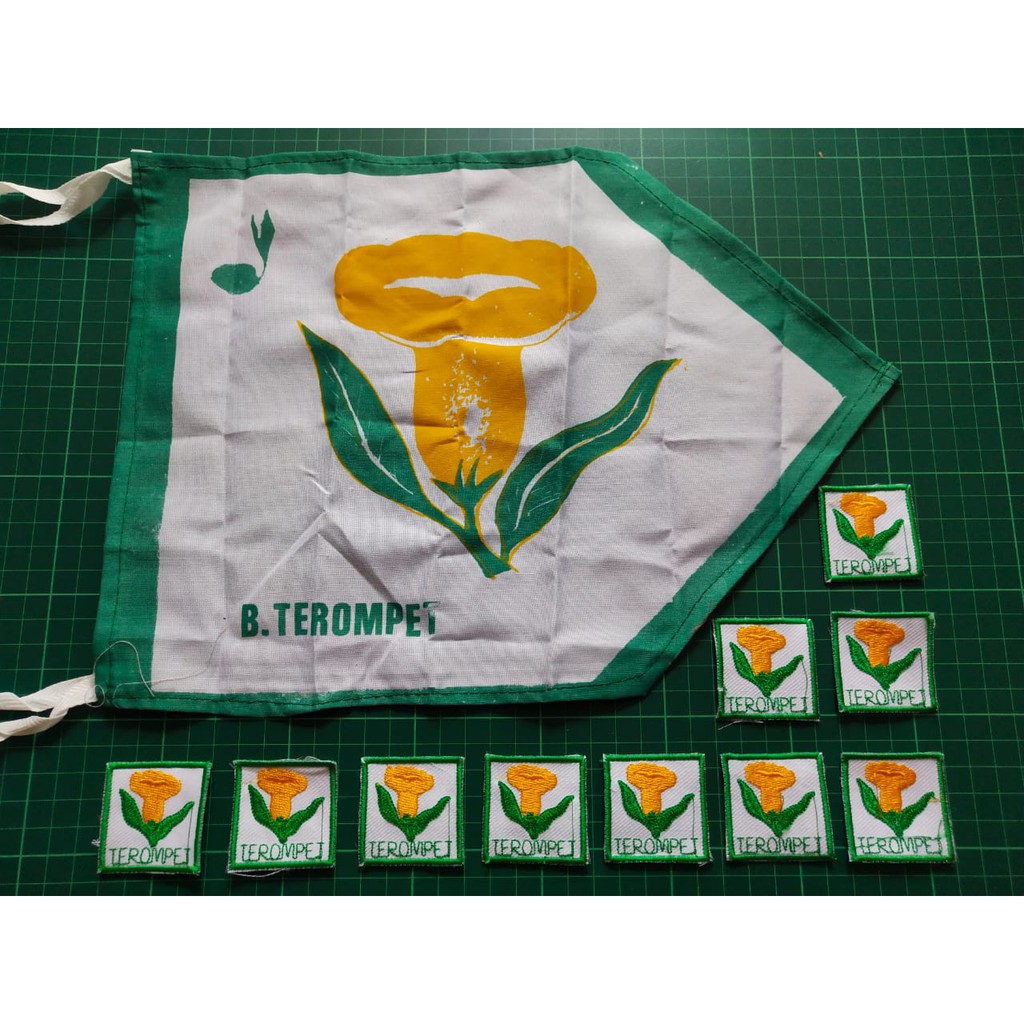 Jual TANDA REGU BUNGA TEROMPET SET BENDERA PENGGALANG PUTRI PRAMUKA ...
